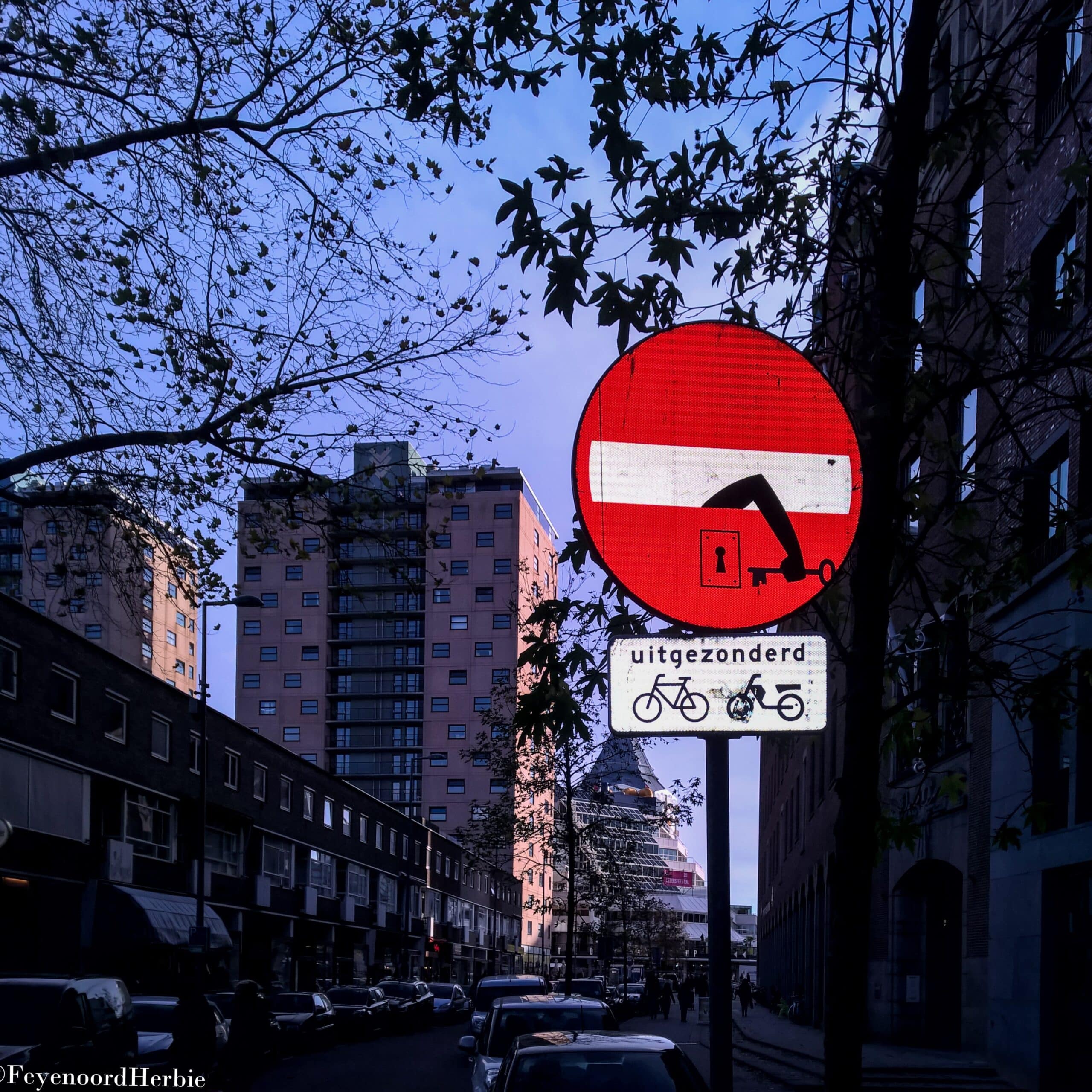 PICTURE THIS: Rotterdam Street Art Photography And the People Behind ...
